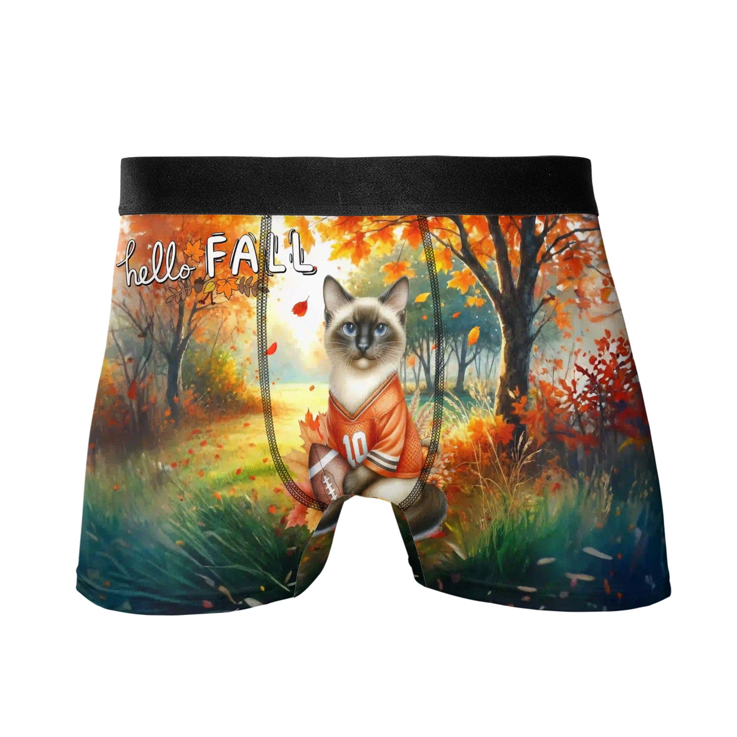 Hello Fall Siamese Football Welcome Autumn with Leaves Pumpkins All ...