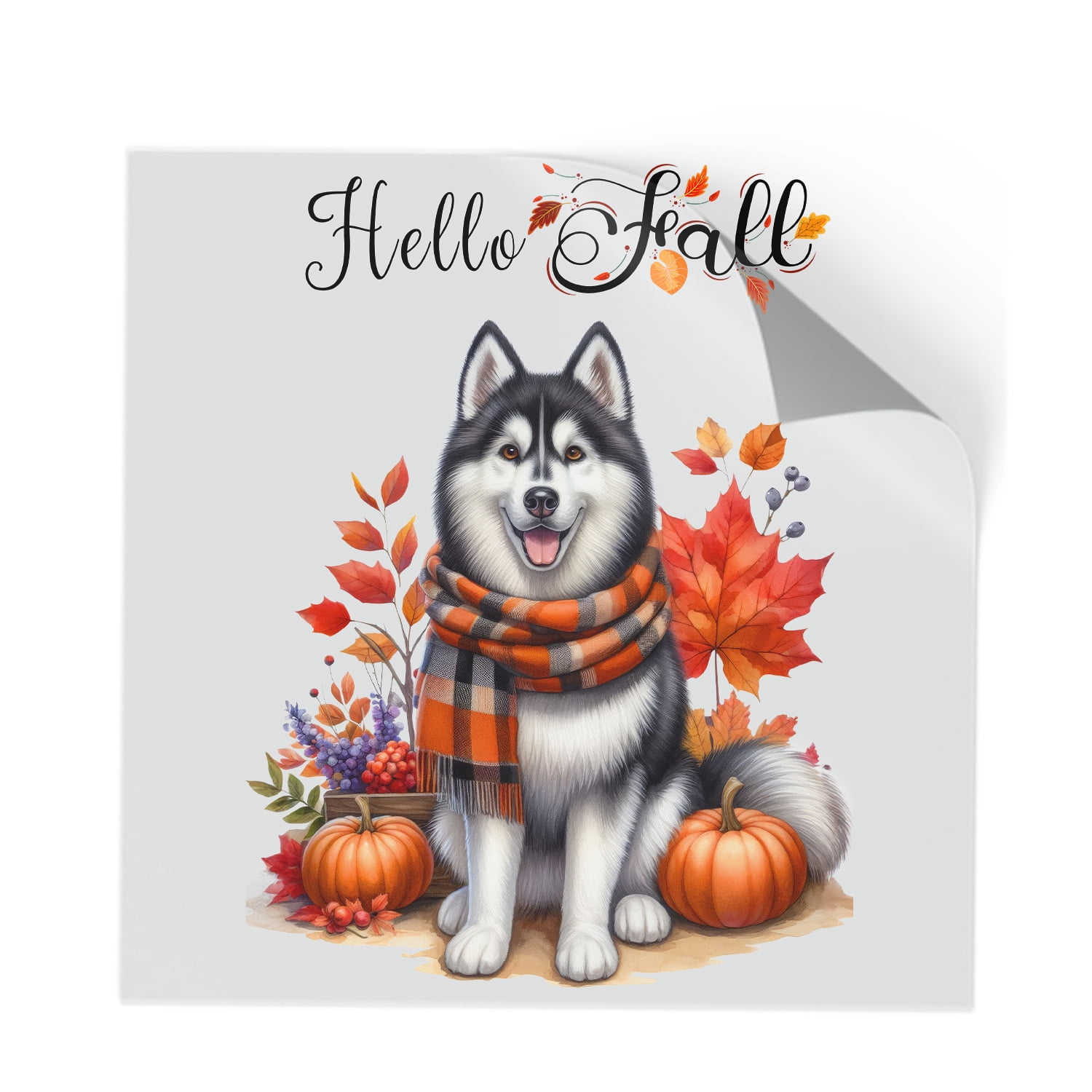 Hello Fall Siberian Husky Scarf Welcome Autumn with Leaves Pumpkins ...