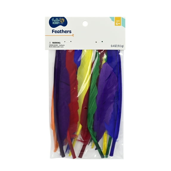 Hello Hobby Multicolor Feathers Arts and Crafts Long Texture 4.75x0.52x8.75 - Walmart.com
