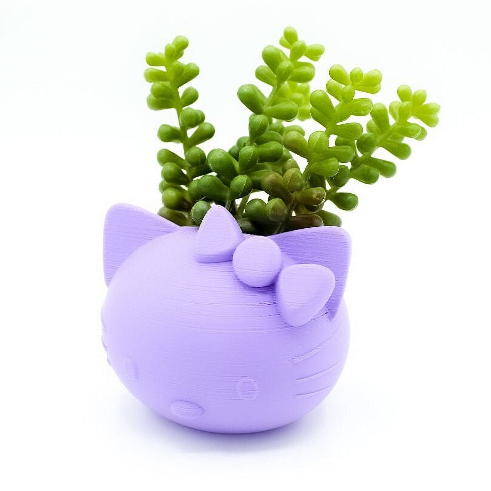 Hello Kitty Cat Kitten Succulent Planter Vase - Walmart.com