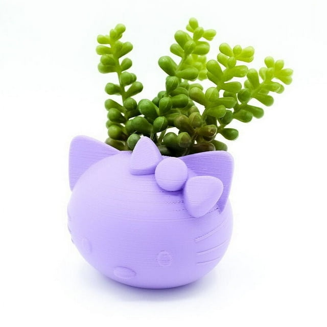 Hello Kitty Cat Kitten Succulent Planter Vase - Walmart.com