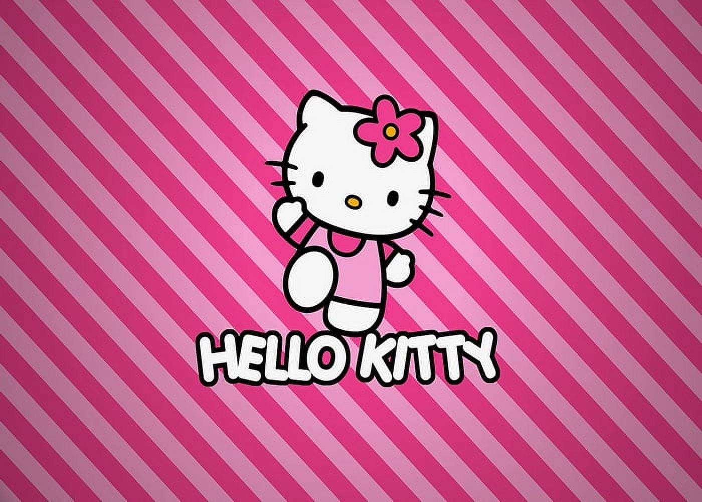 Hello Kitty Theme Background Photography Cartoon Backdrop Birthday ...