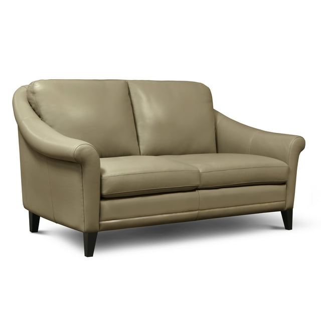 Hello Sofa Home Sienna Mid-Century Modern Top Grain Leather Loveseat in ...