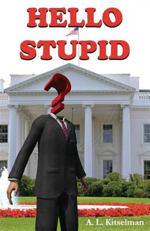 Hello Stupid (Paperback) - Walmart.com