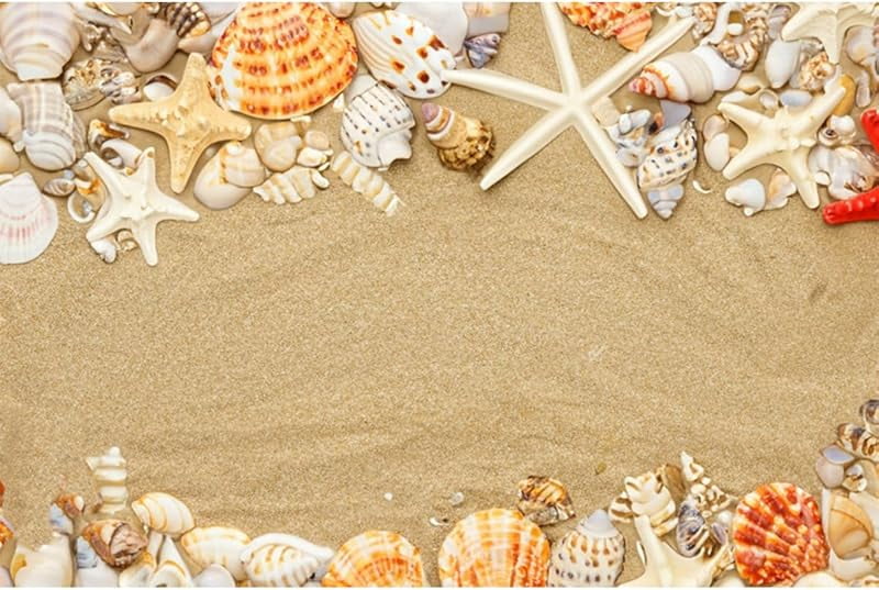 Hello Summer Backdrop Ocean Beach Gravel Scallops Shells Starfish ...