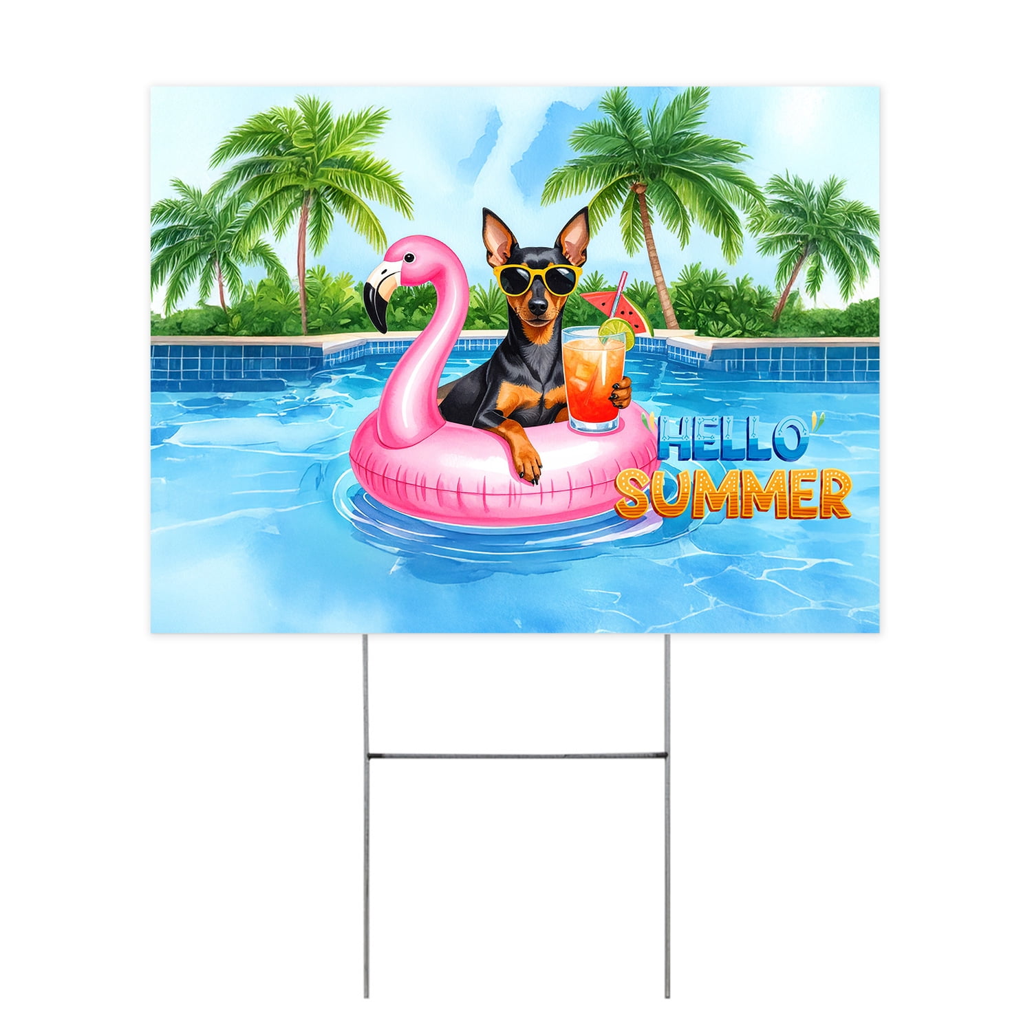 Hello Summer Miniature Pinscher at Swimming Pool Flamingo Swim Ring ...