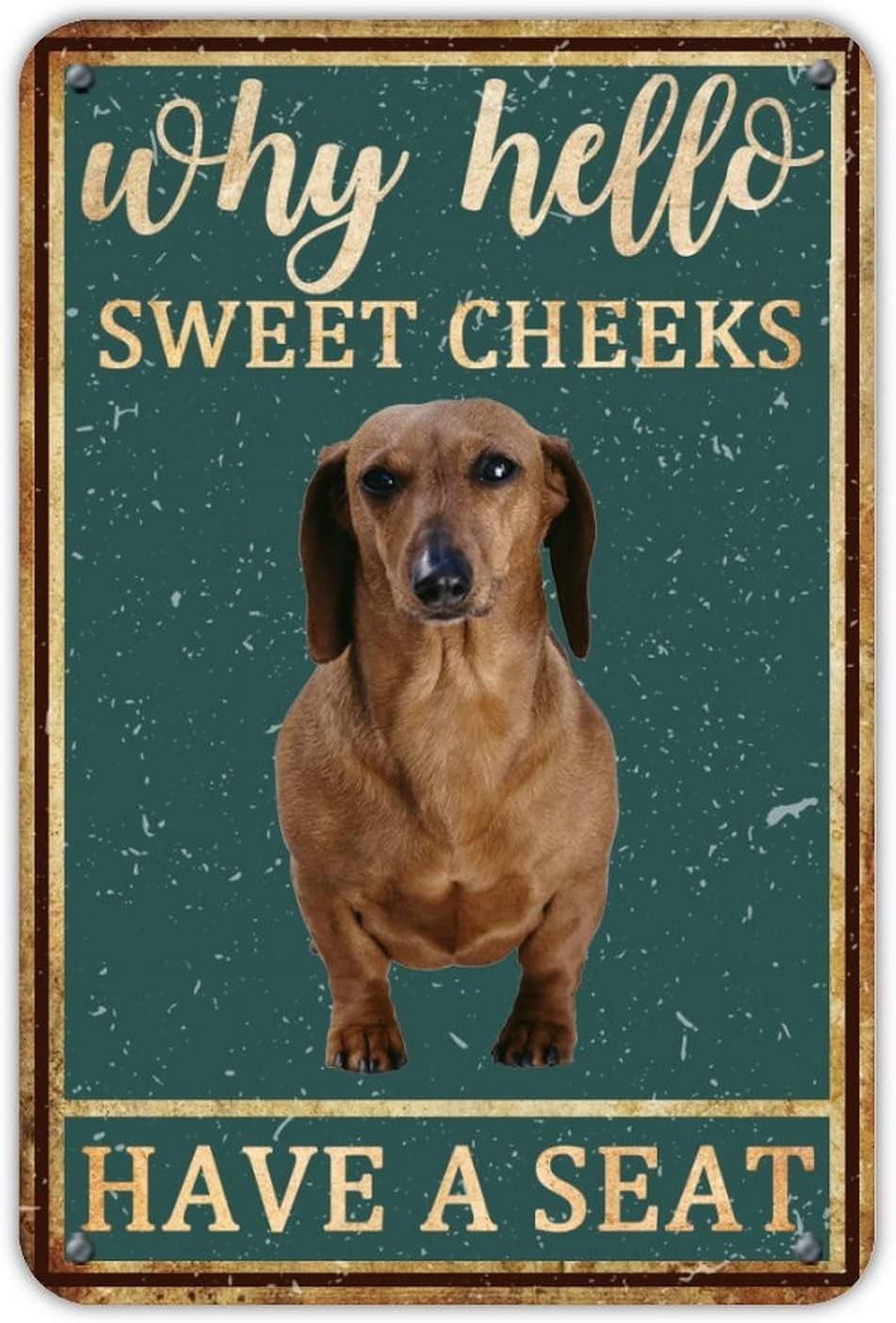 Why Hello Sweet Cheek Dog Sign Bathroom Dog Sign Metal Sign Retro Pet ...