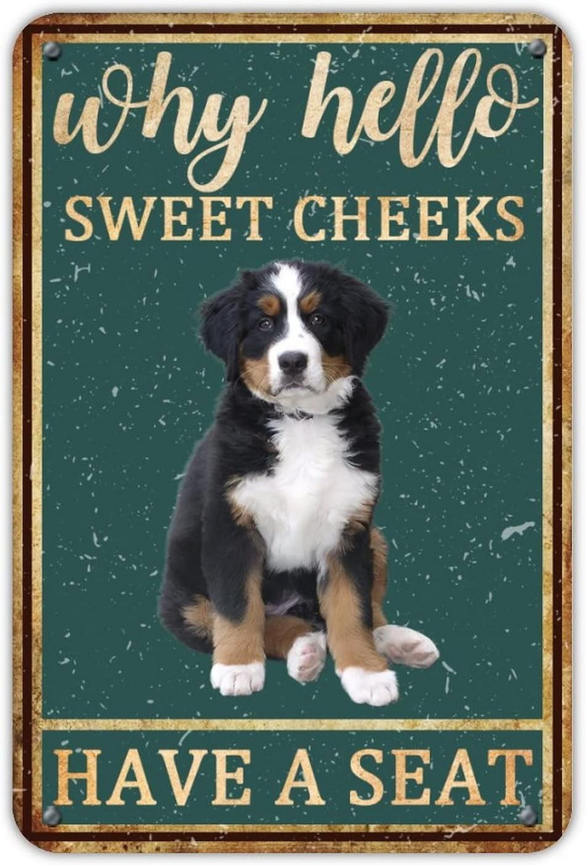 Why Hello Sweet Cheek Farmhouse Bathroom Decor Metal Tin Signs ...