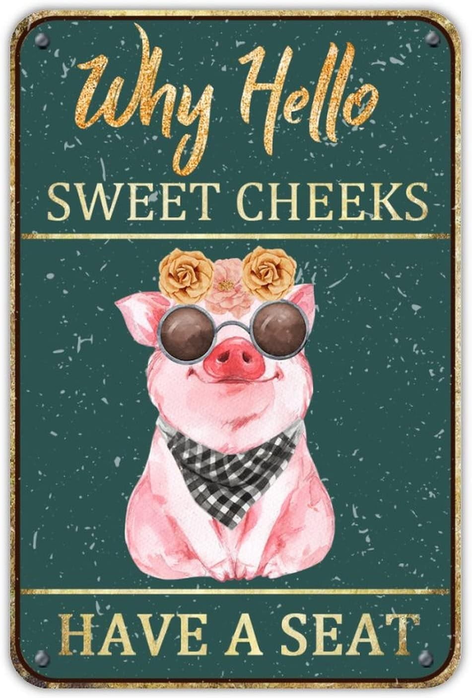 Why Hello Sweet Cheek Sign Farmhouse Bathroom Decor Metal Tin Signs ...
