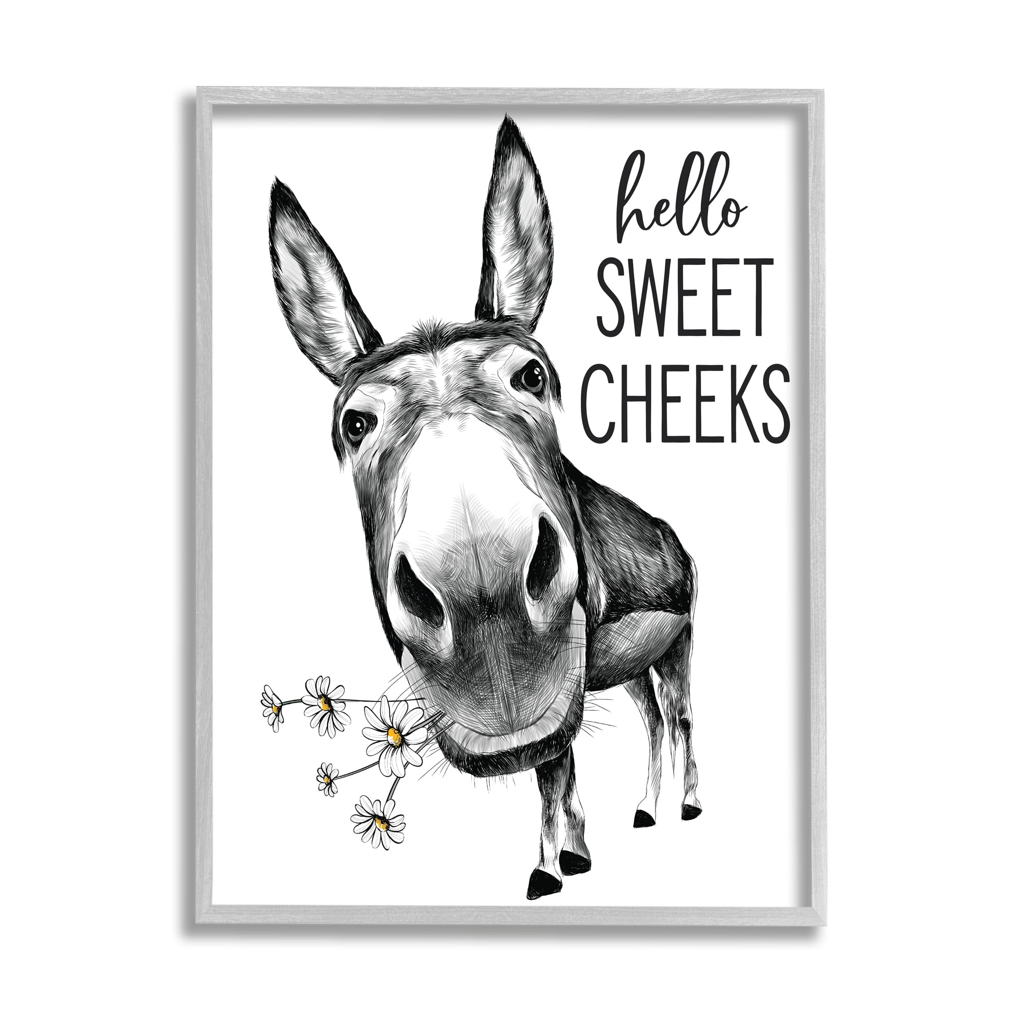 Stupell Industries Hello Sweet Cheeks Animal Humor Donkey Daisies,11 x ...