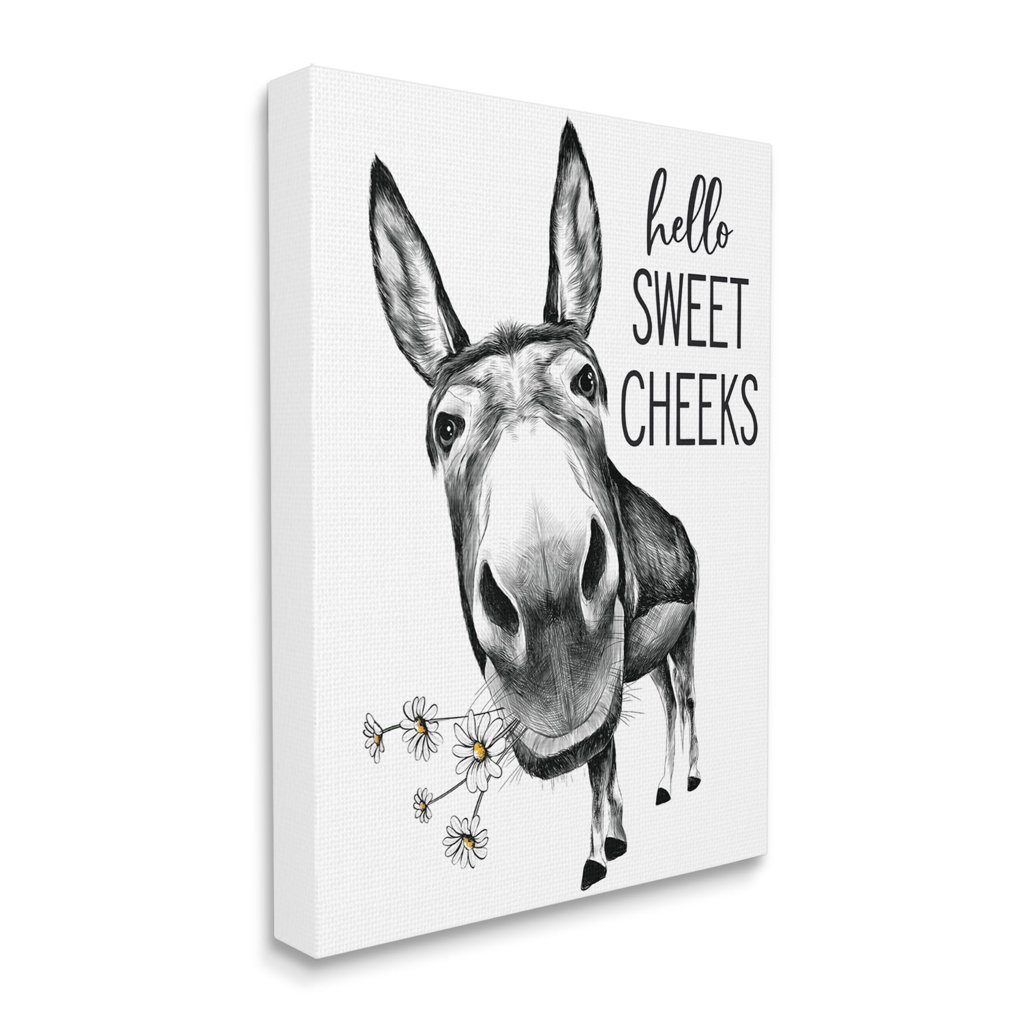 Free Shipping! Stupell Industries Hello Sweet Cheeks Donkey Daisies ...