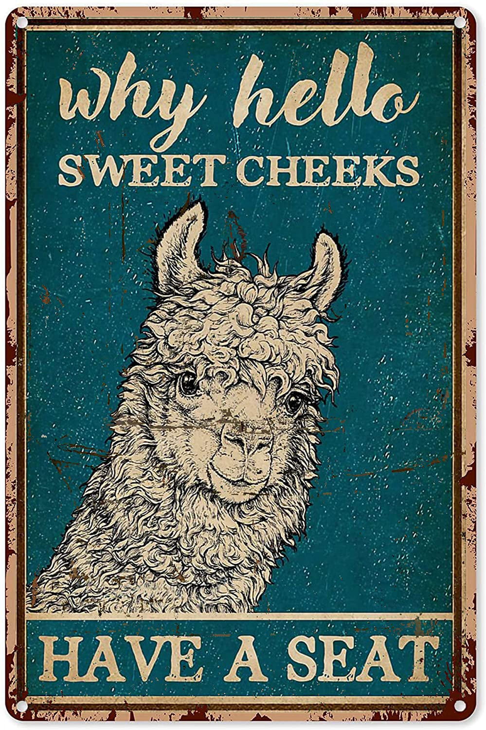 Hello Sweet Cheeks Sign Why Hello Sweet Cheeks Have A Seat Pink ...