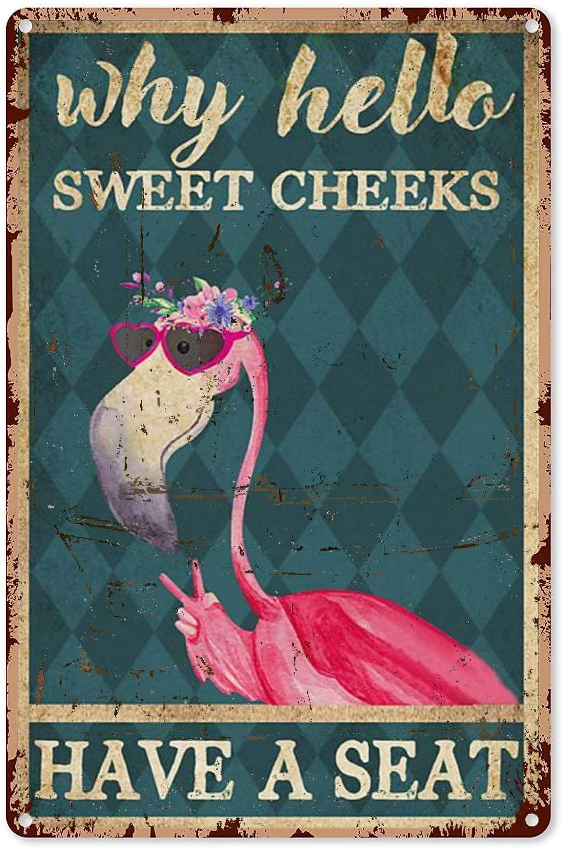 Hello Sweet Cheeks Sign for Bathroom Pink Flamingo Why Have A Seat Tin ...