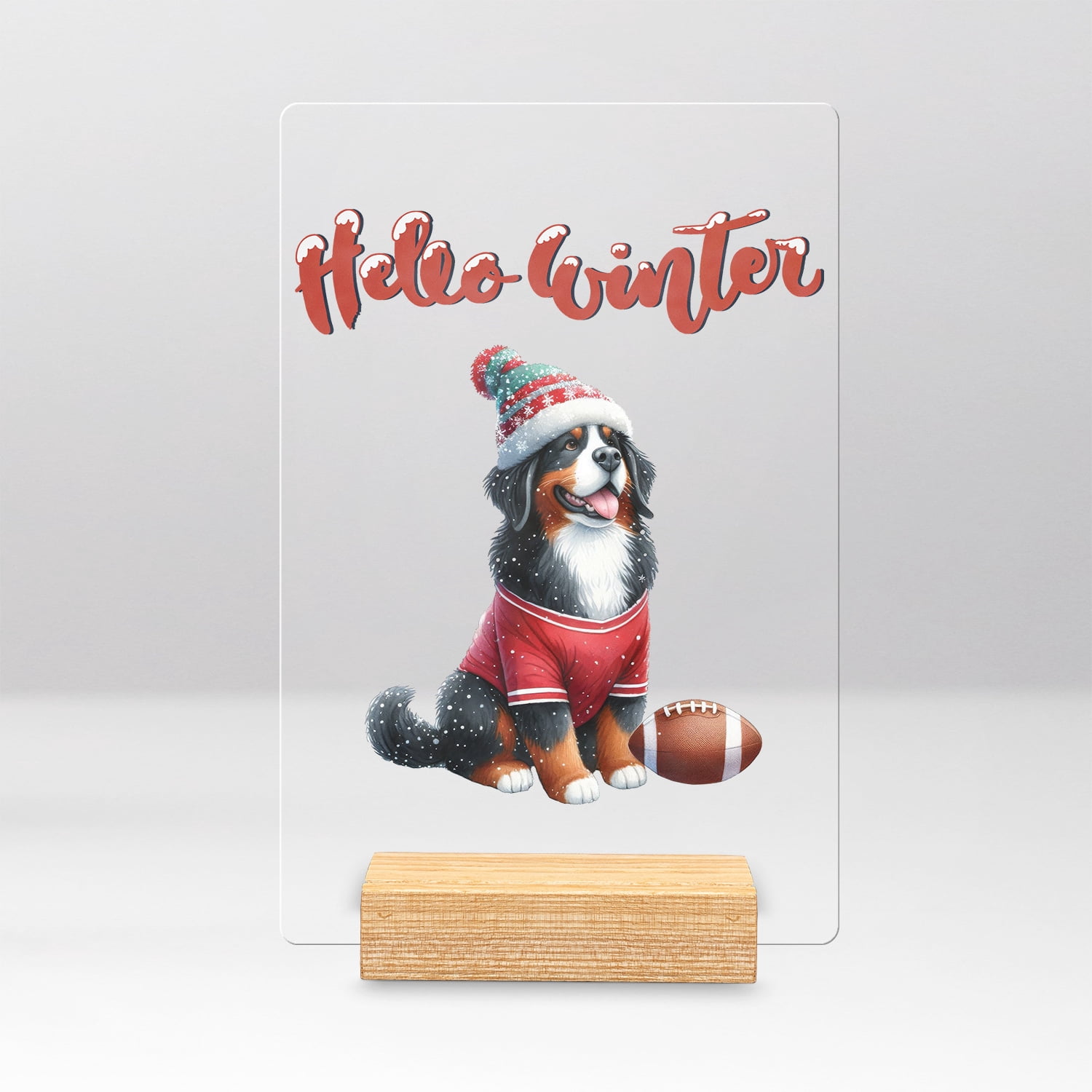 Hello Winter Bernese Mountain Dog Football Snowman Welcome Snowy ...
