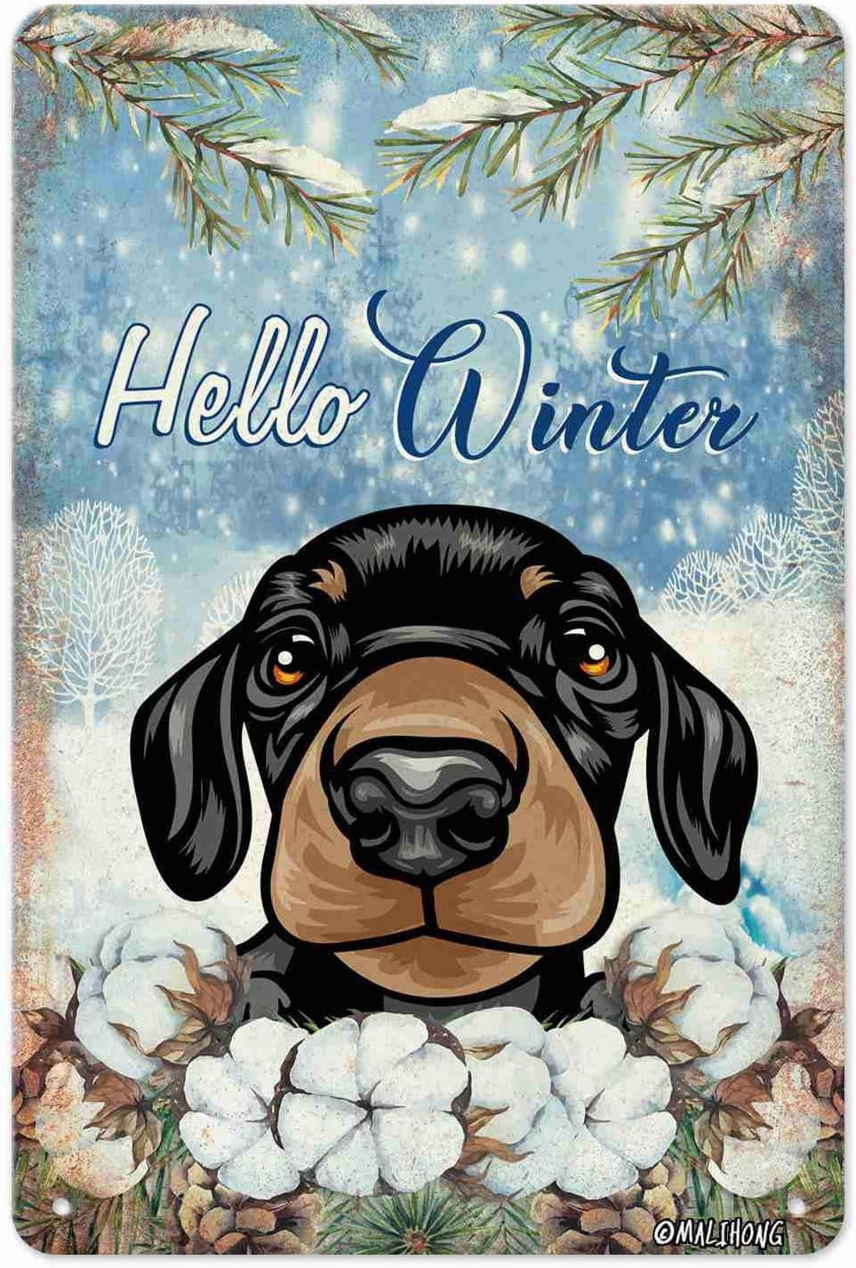 Hello Winter Dog Metal Sign Cute Dachshund Dog Cotton Plants Winter ...