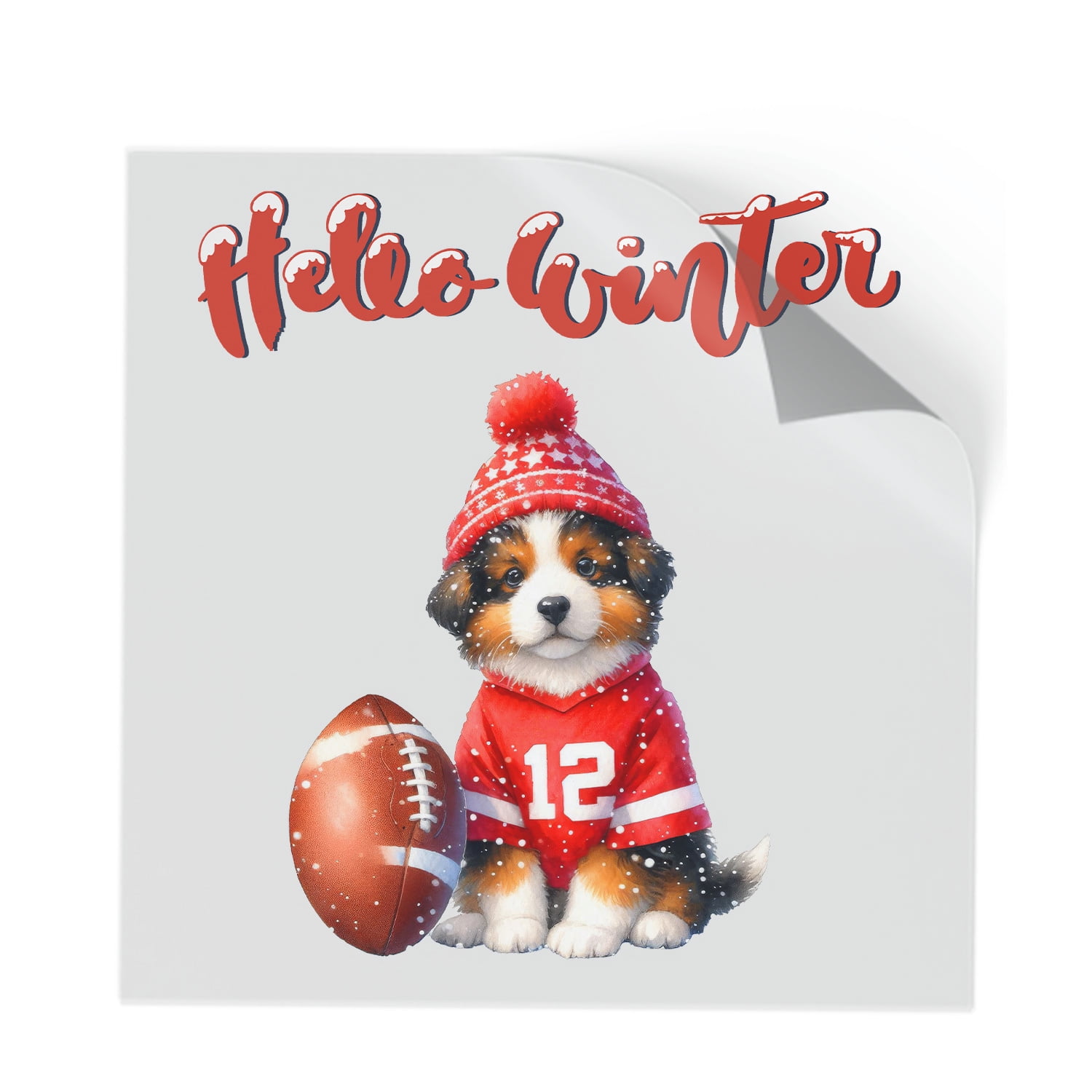 Hello Winter Miniature American Shepherd Football Snowman Welcome Snowy ...