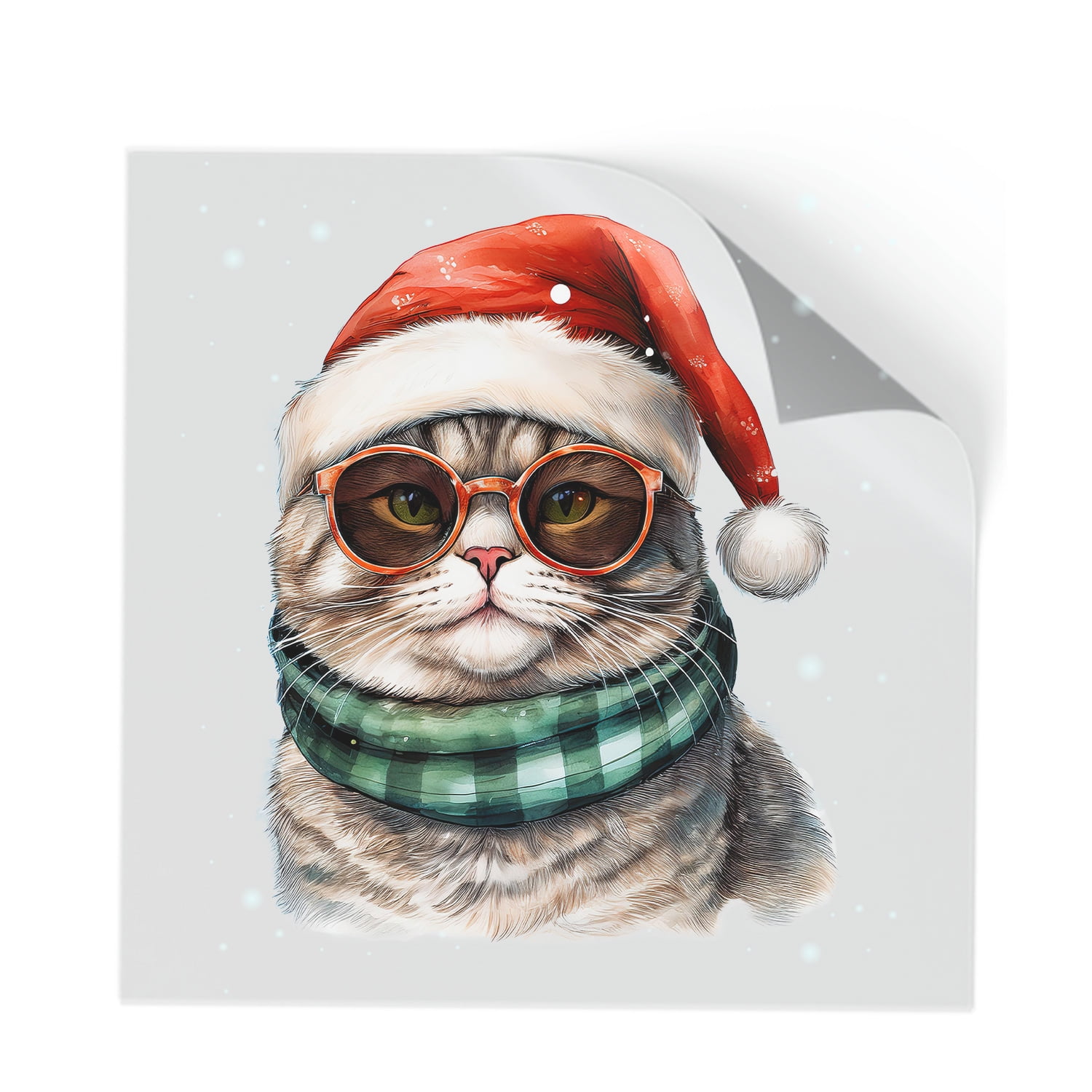 Hello Winter Scottish Fold Frosty Morning Walk Welcome Snowy Christmas ...