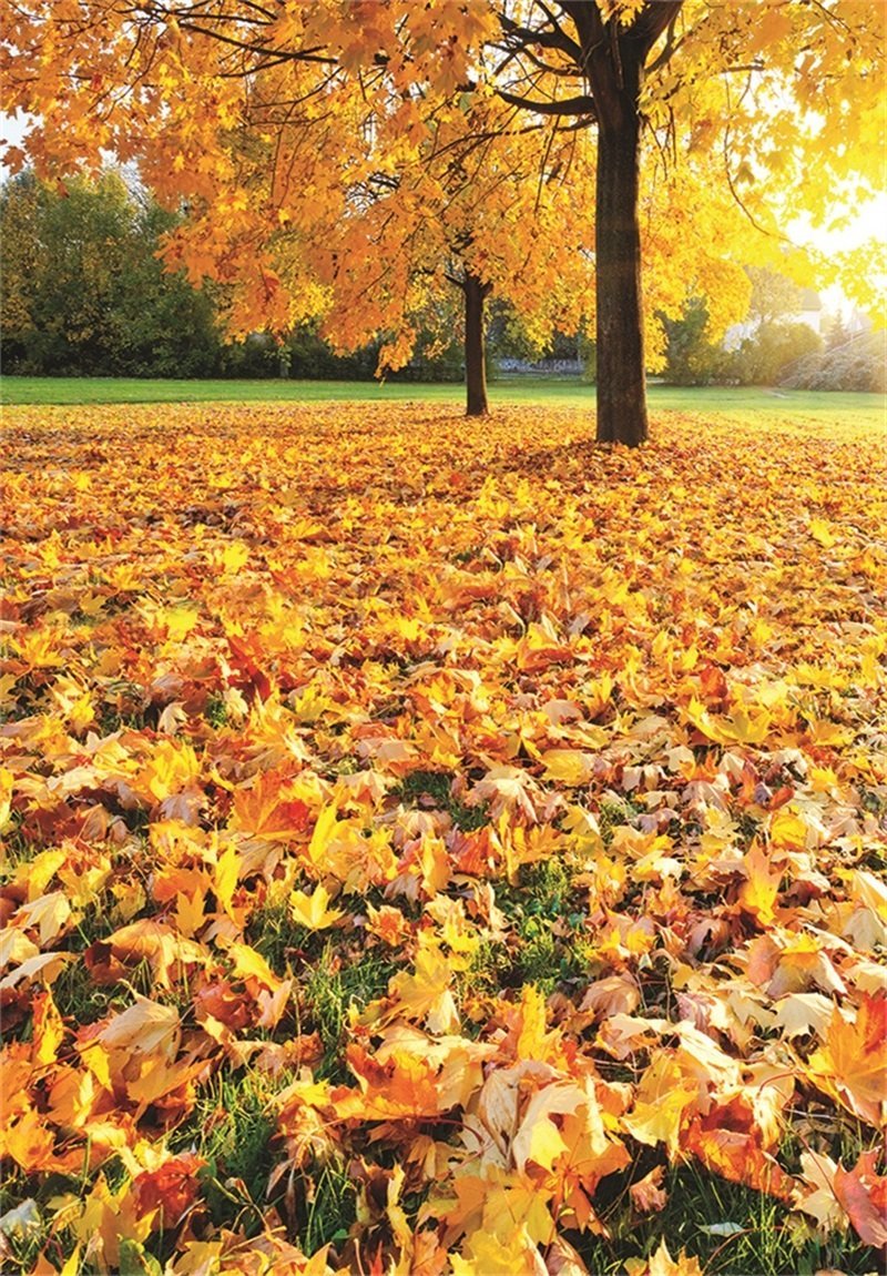 HelloDecor 5x7ft Artistic Photography Studio Background Girl Photo ...