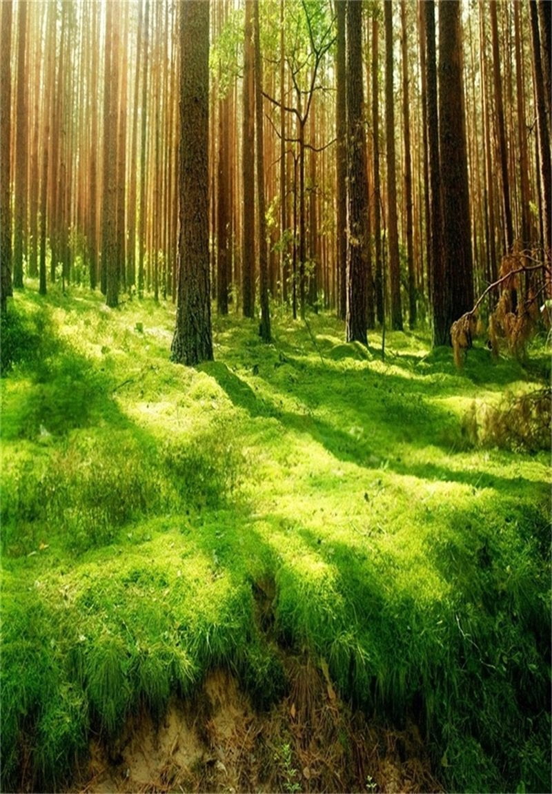 HelloDecor 5x7ft Artistic Photography Studio Background Girl Photo ...