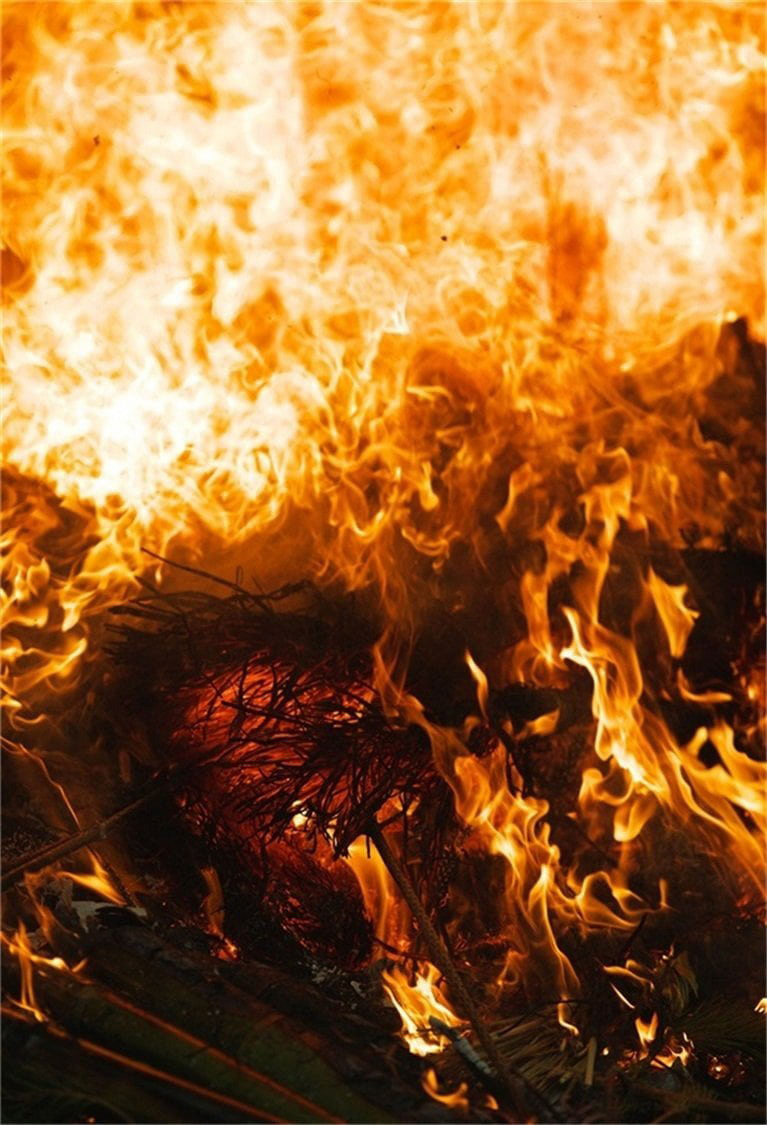HelloDecor 5x7ft Burning Fire Flames Background Bonfire Photography ...
