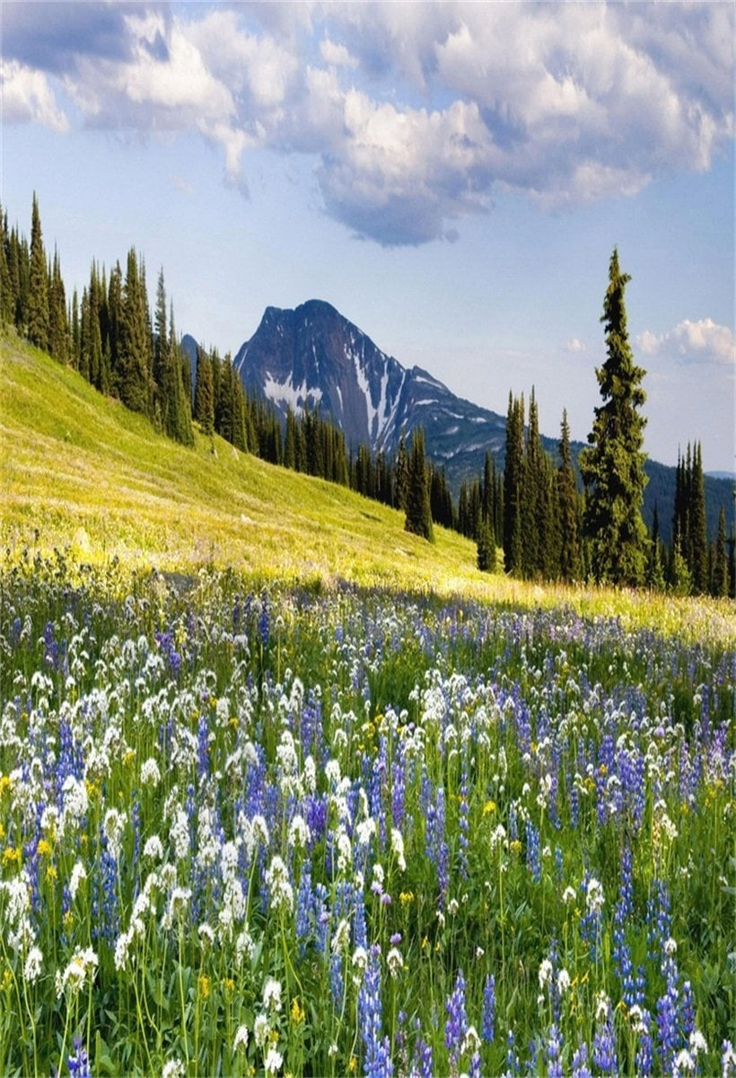 HelloDecor 5x7ft Girl Photography Studio Backdrops Toddler Photo Shoot ...