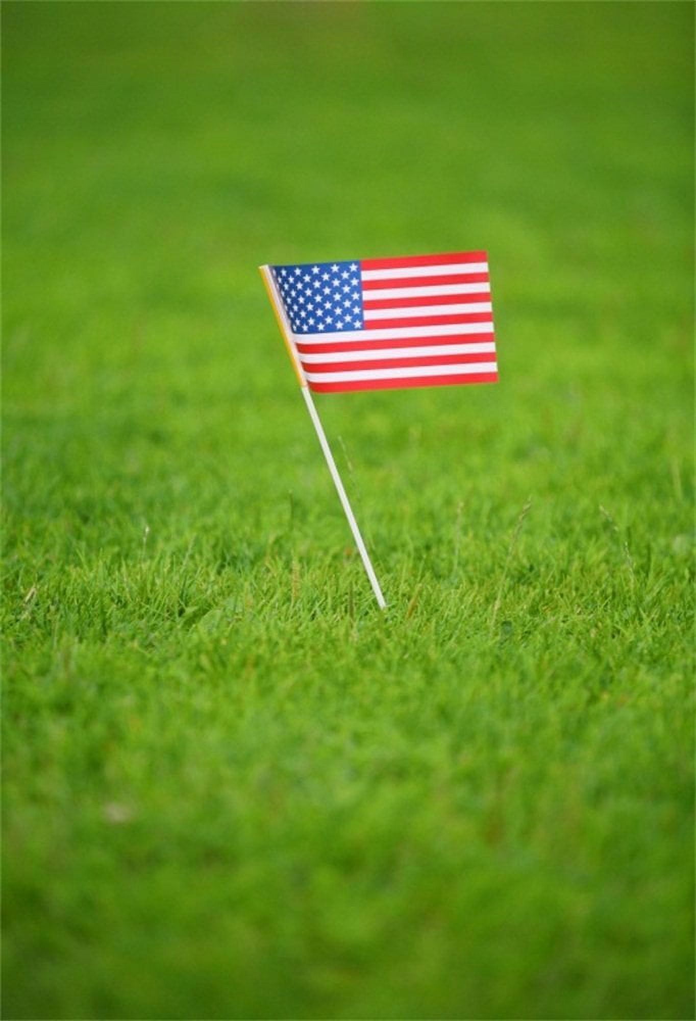 HelloDecor 5x7ft Photography Background Tiny American Flag on Green Grassland US National Party ...