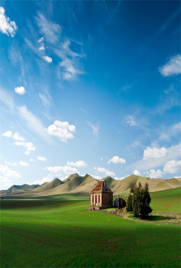 HelloDecor 5x7ft Rustic Farmfield Backdrop For Photography Outdoor ...
