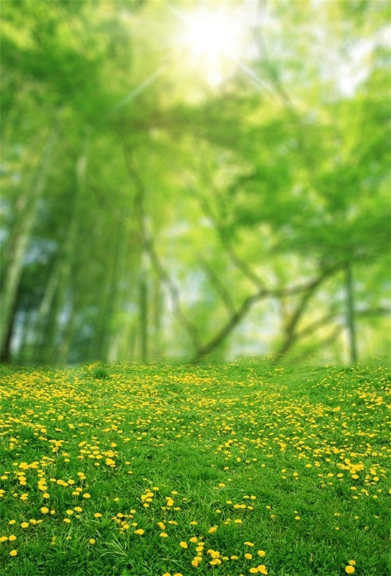 HelloDecor 5x7ft Spring Meadow Photography Studio Background Sweet ...