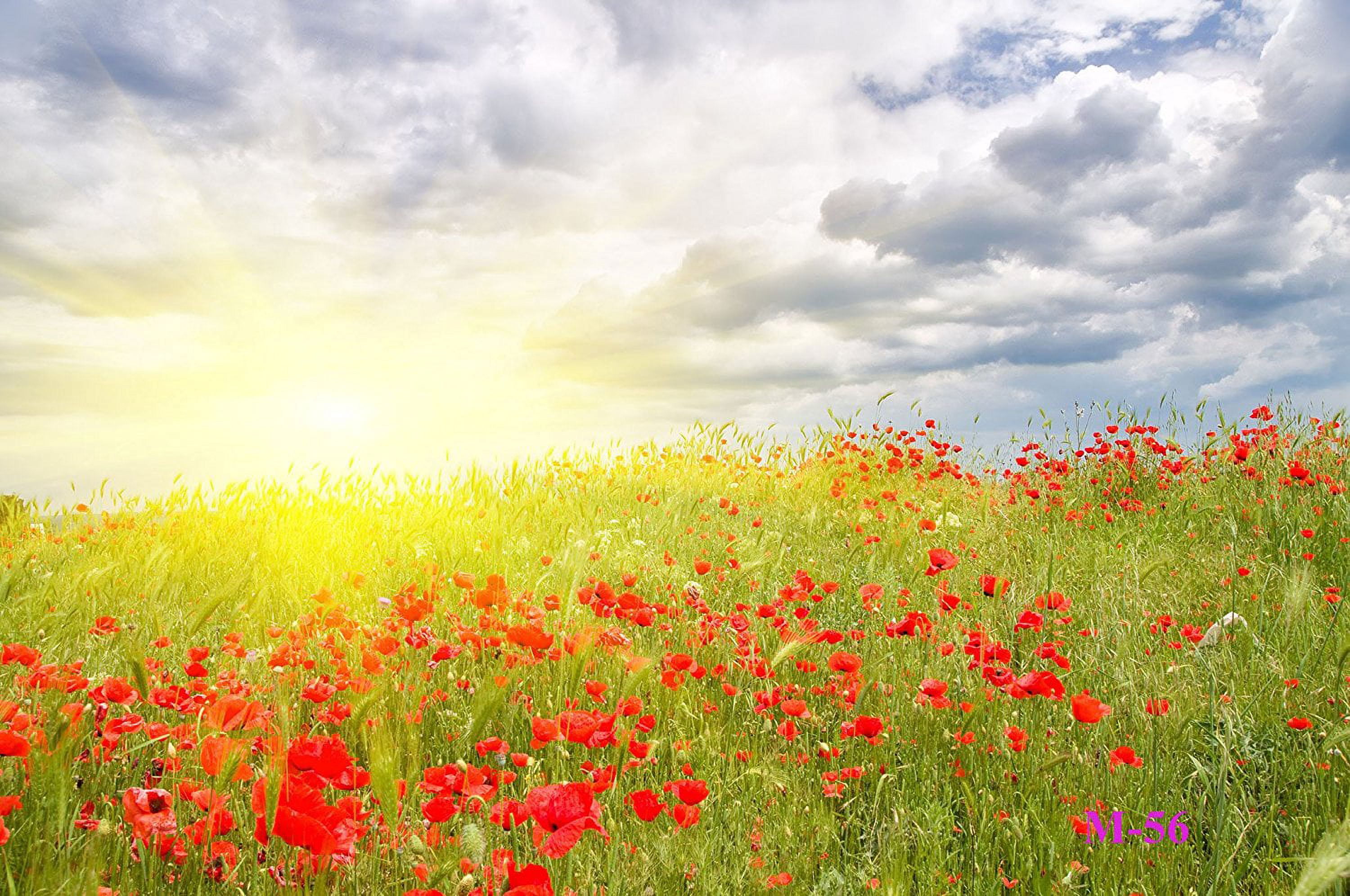 HelloDecor 7x5ft Nature Scenery Photo Backdrop photography Backdrop ...