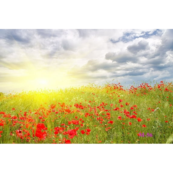 HelloDecor 7x5ft Nature Scenery Photo Backdrop photography Backdrop ...