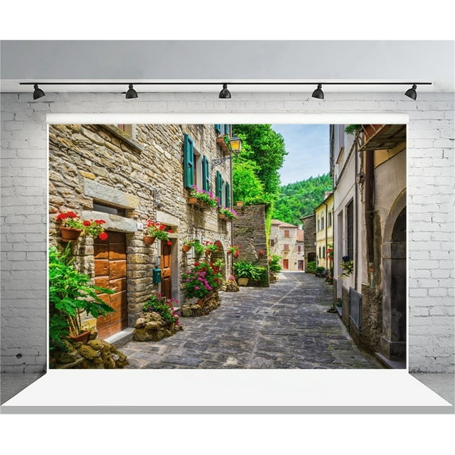 HelloDecor 7x5ft Vintage Romantic Townlet Backdrop Artistic European ...