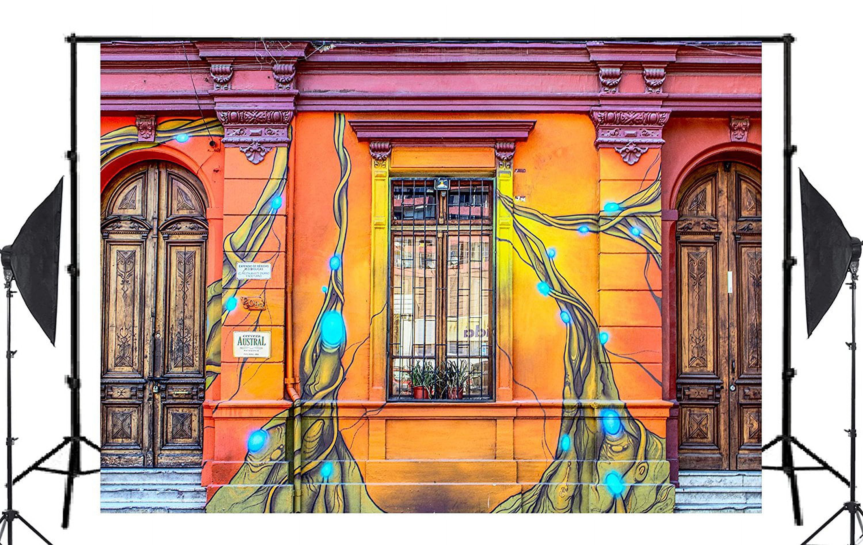 HelloDecor Photo Background 7x5ft Beautiful Graffiti Wall Photography ...