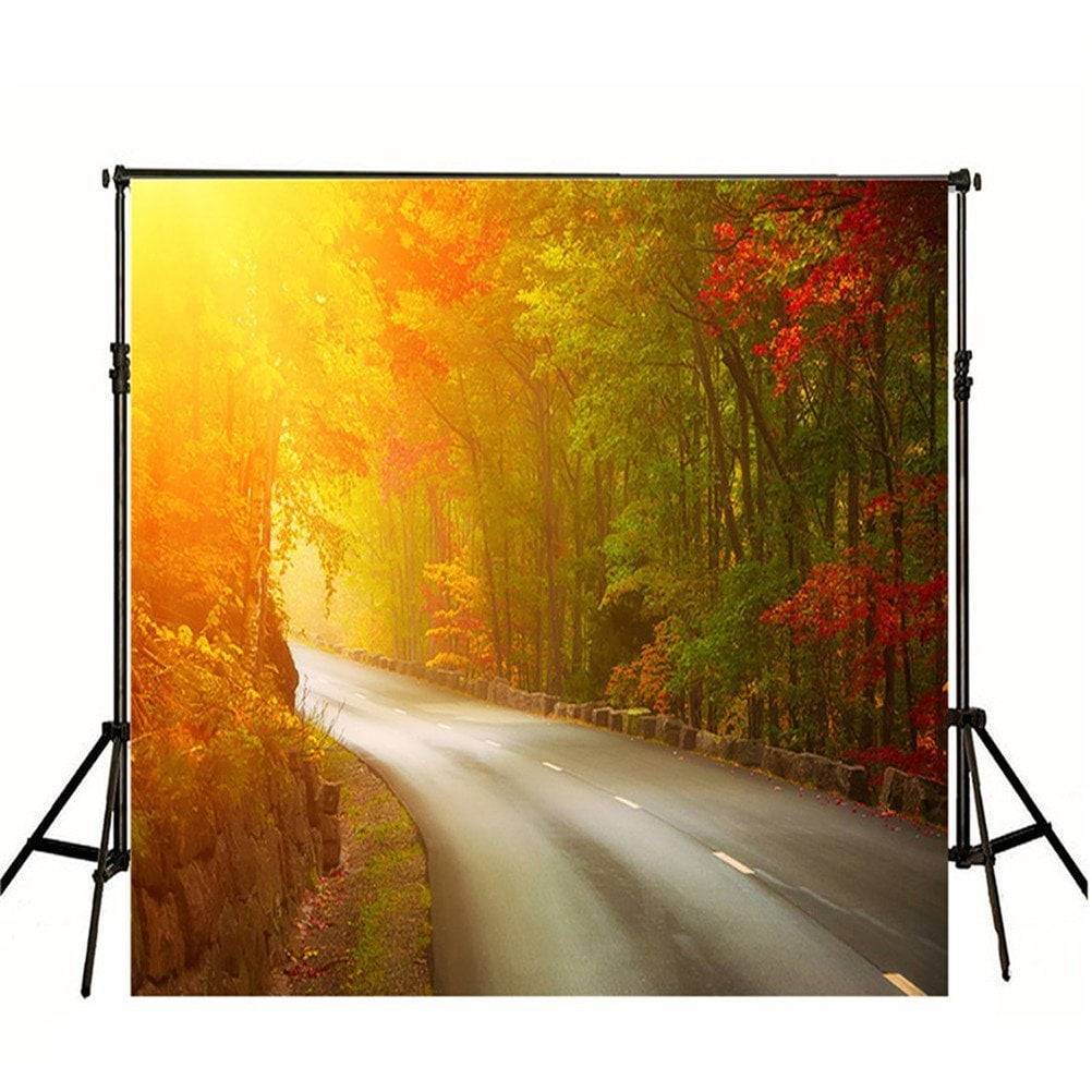 HelloDecor Photography Backdrops Forest 5x7ft Long Road to the Mountain ...