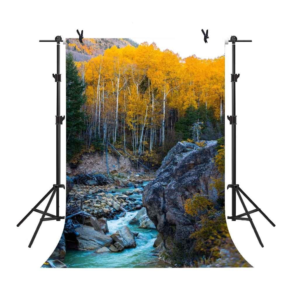 HelloDecor 5x7Ft Fall Autumn Backdrop Trees Fallen Leaves Riverside ...