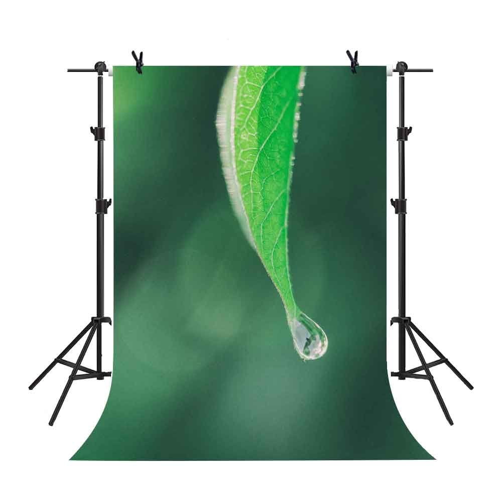 HelloDecor 5x7Ft Green Backdrop Leaf Water Drop Natural View Healthy ...