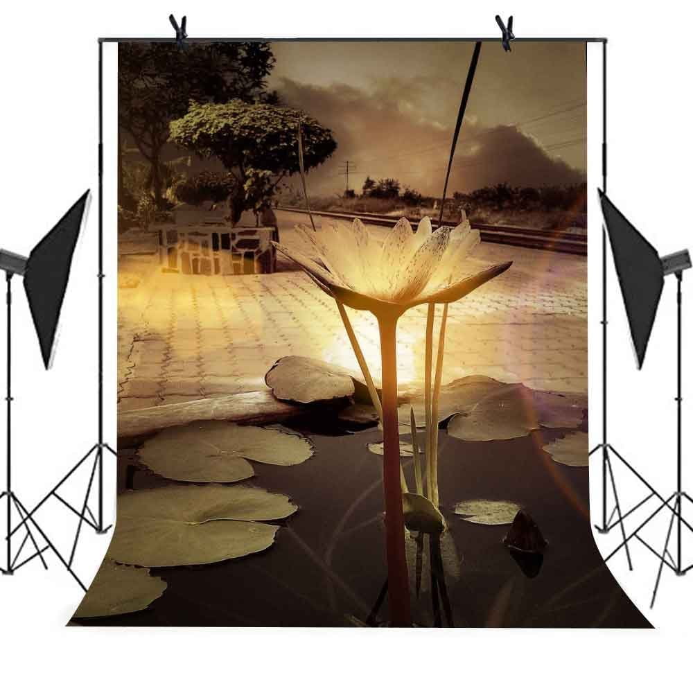 HelloDecor 5x7ft Beautiful Landscape Backdrop Lotus Pond Plant Sunshine ...