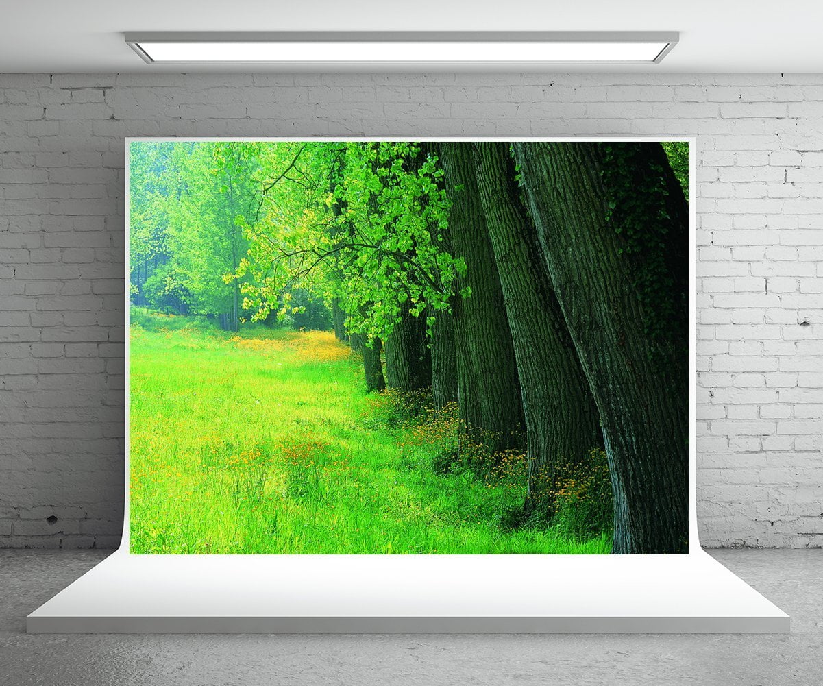 HelloDecor 5x7ft Green Grass Backdrop for Photography Birthday Party ...