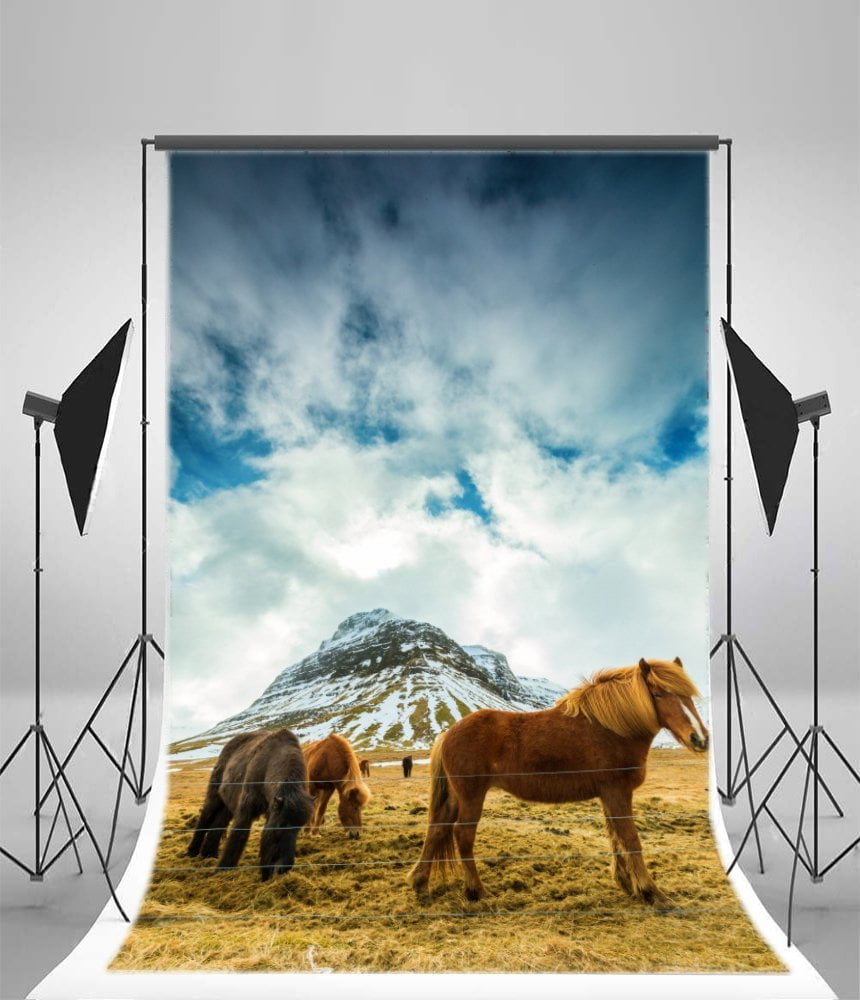 HelloDecor 5x7ft Ice Mountain Backdrop Nature Landscape Horse Grass ...