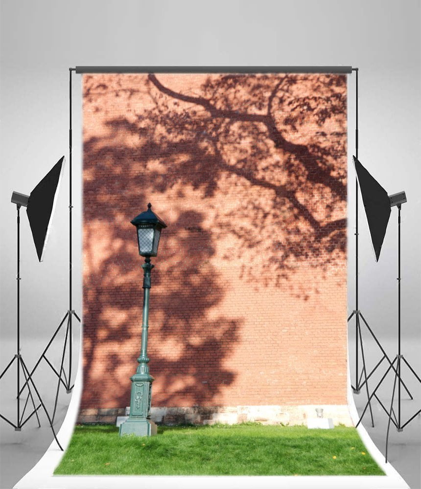 HelloDecor 5x7ft Photography Backdrop Lamp Grass Land Tree Shade ...