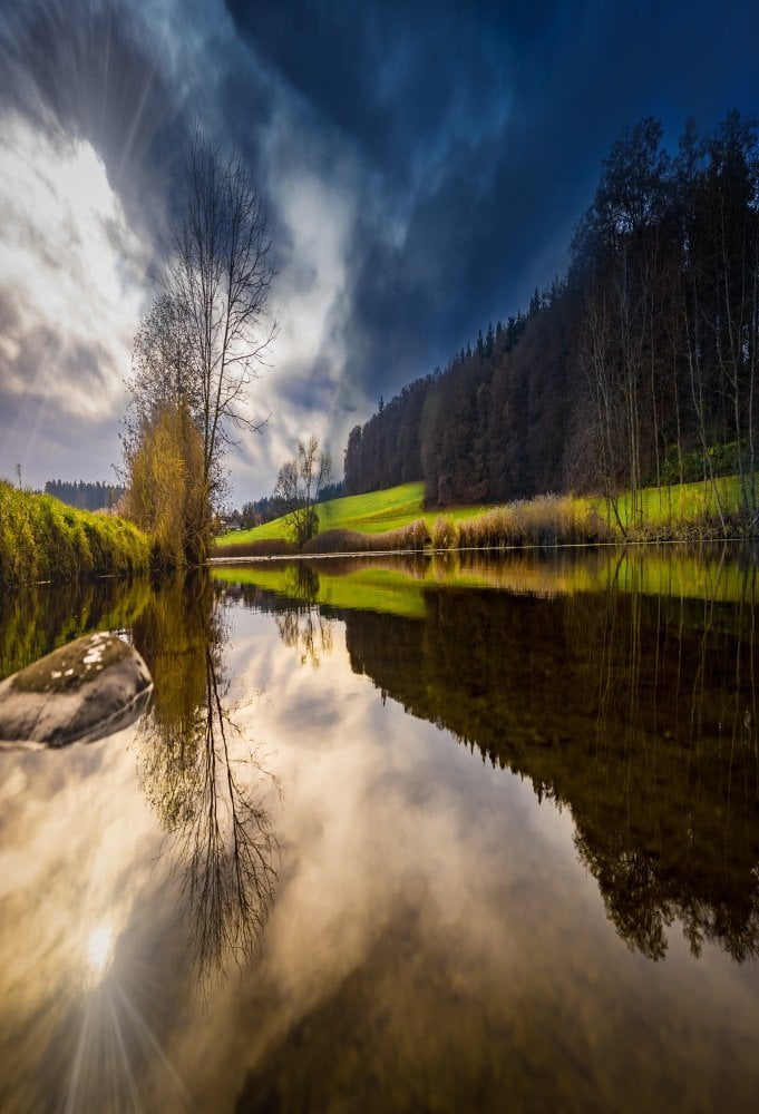 HelloDecor 5x7ft Photography Background Natural Scenery Water and Trees ...