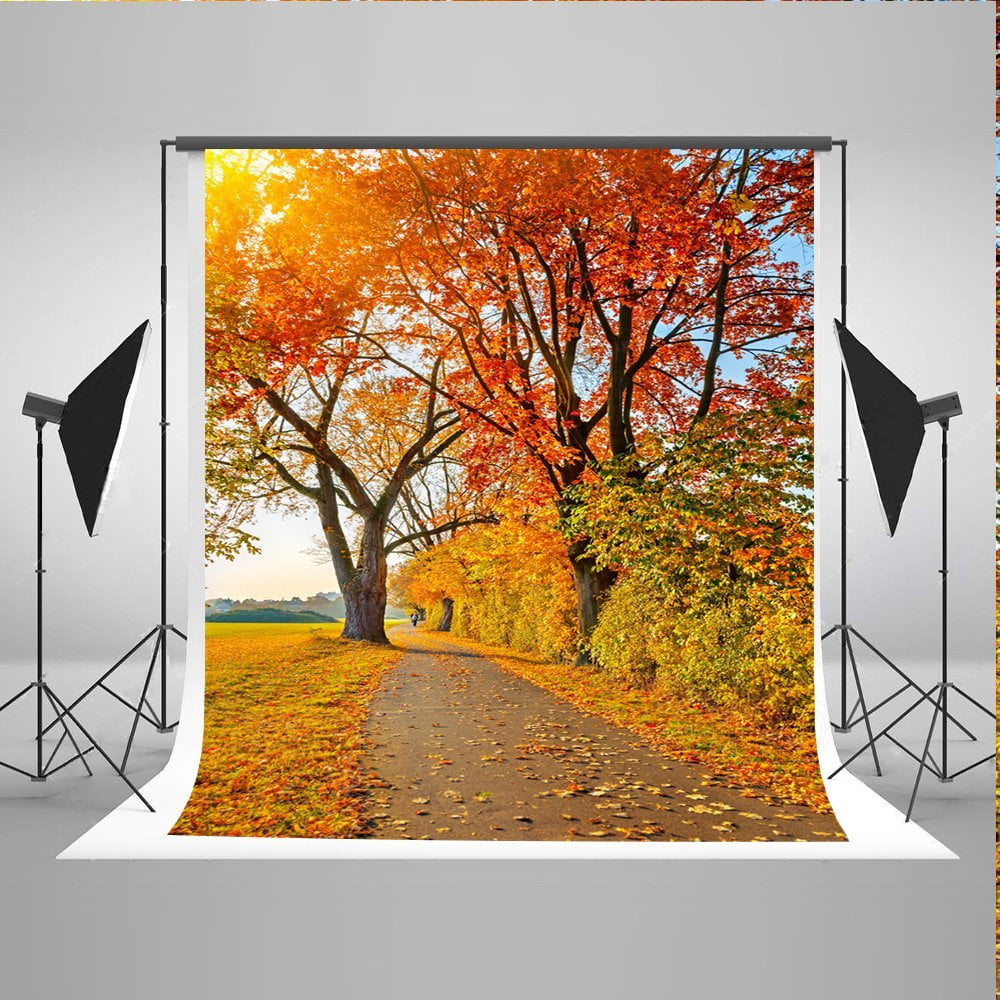 HelloDecor 5x7ft Red Maple Leaves Photo Backgrounds Fall Country Road ...