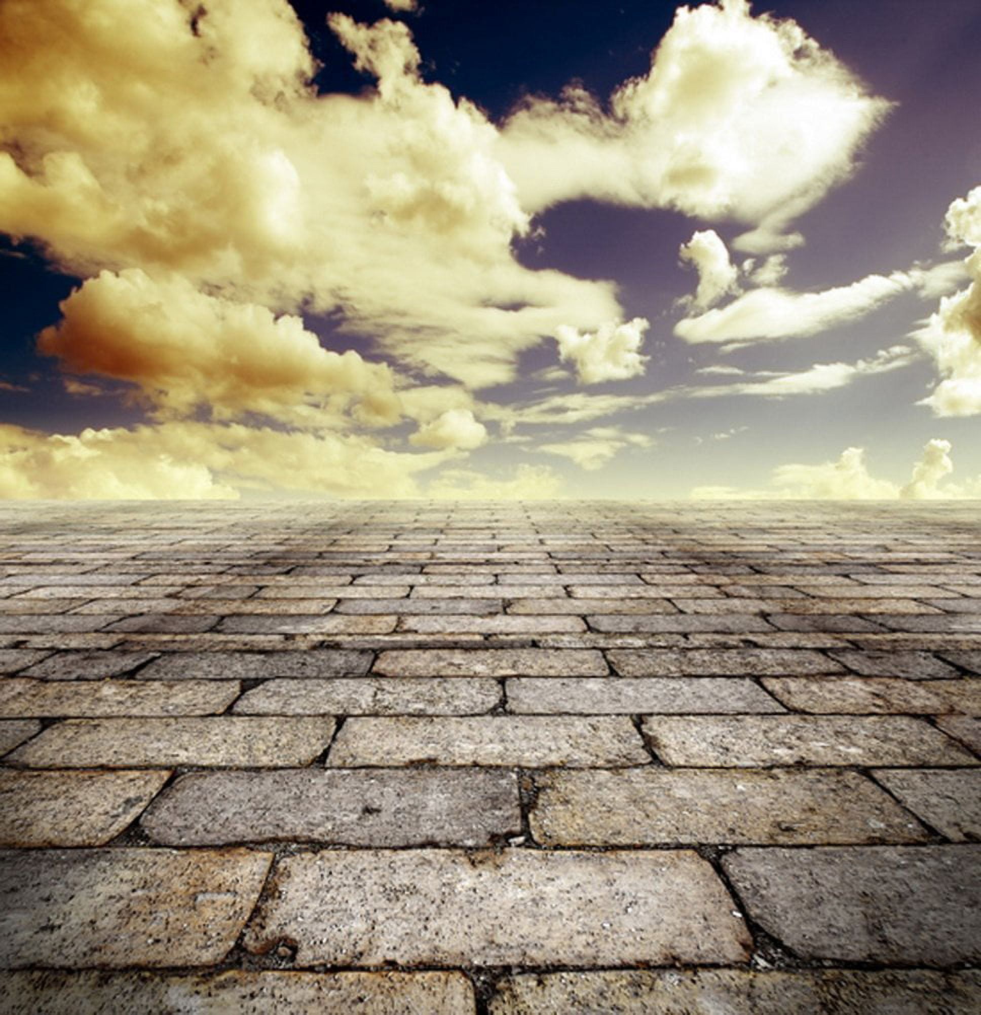 HelloDecor 5x7ft Sky Clouds Brick Floor Newborn Pet Photography ...