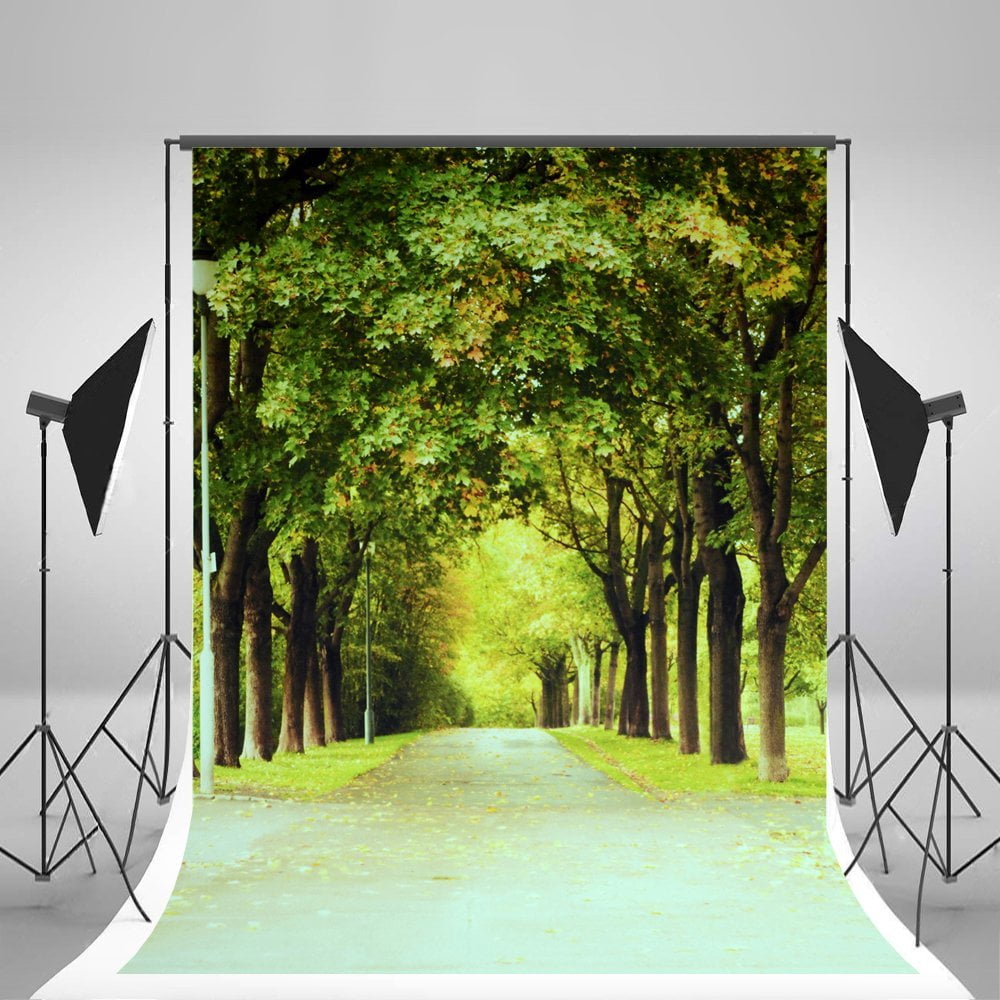 HelloDecor 5x7ft Spring Green Photographic Backgrounds Country Road ...