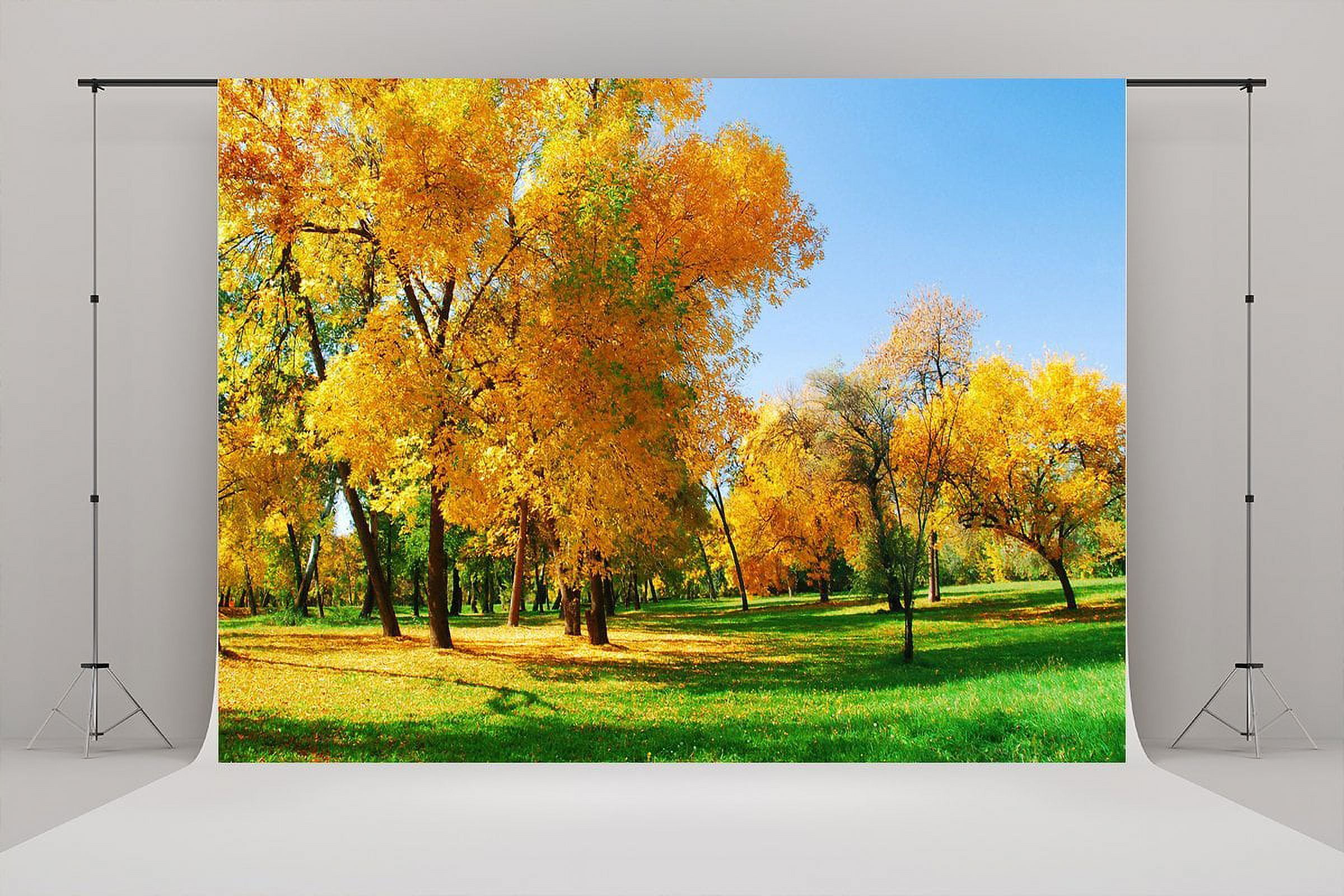 HelloDecor 7x5ft Autumn Backgrounds Green Grass Photography Backdrops ...