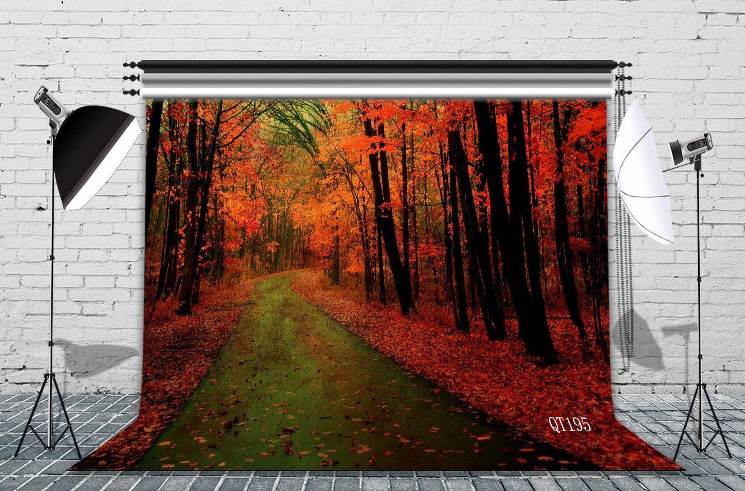 HelloDecor 7x5ft Autumn Forest Scenery Photo Backdrop Fall Photography ...