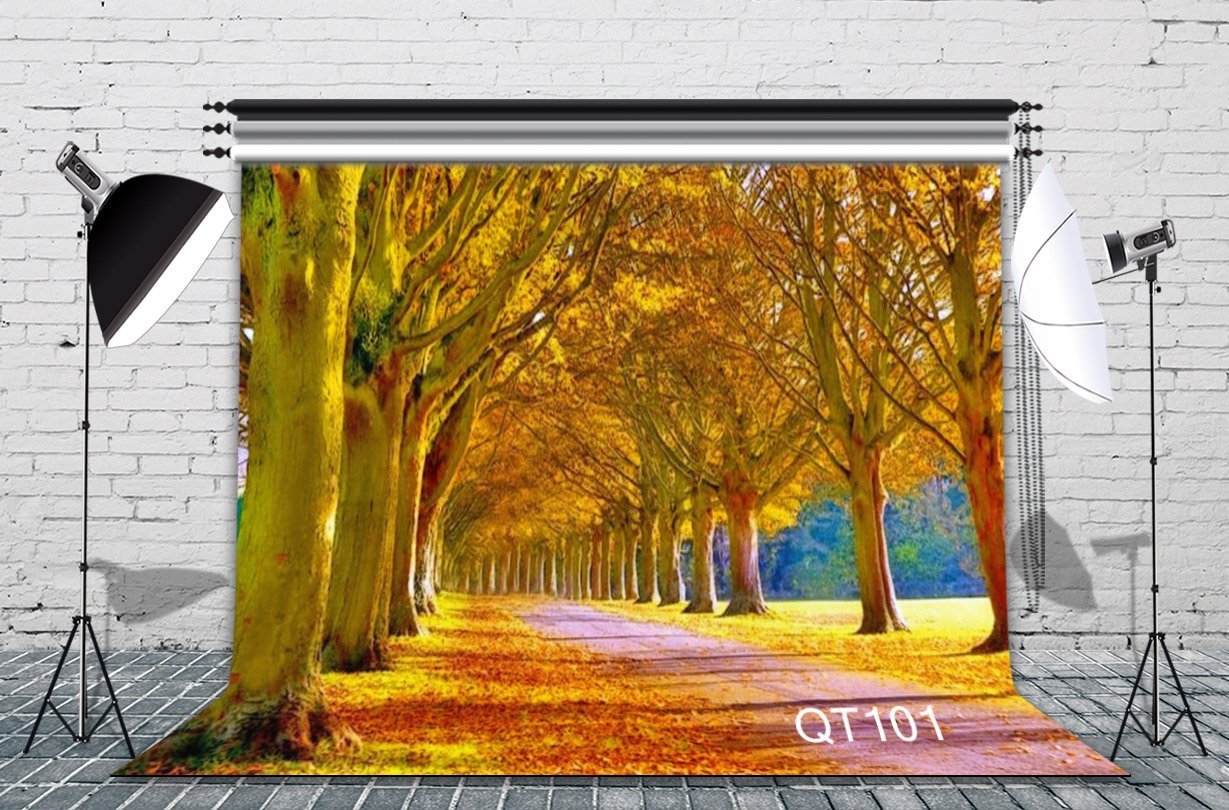 HelloDecor 7x5ft Both Sides of the Road were Golden Fall Scenery ...