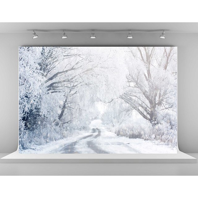 HelloDecor 7x5ft Cold Background for Photo Studio Winter Frozen Snow ...