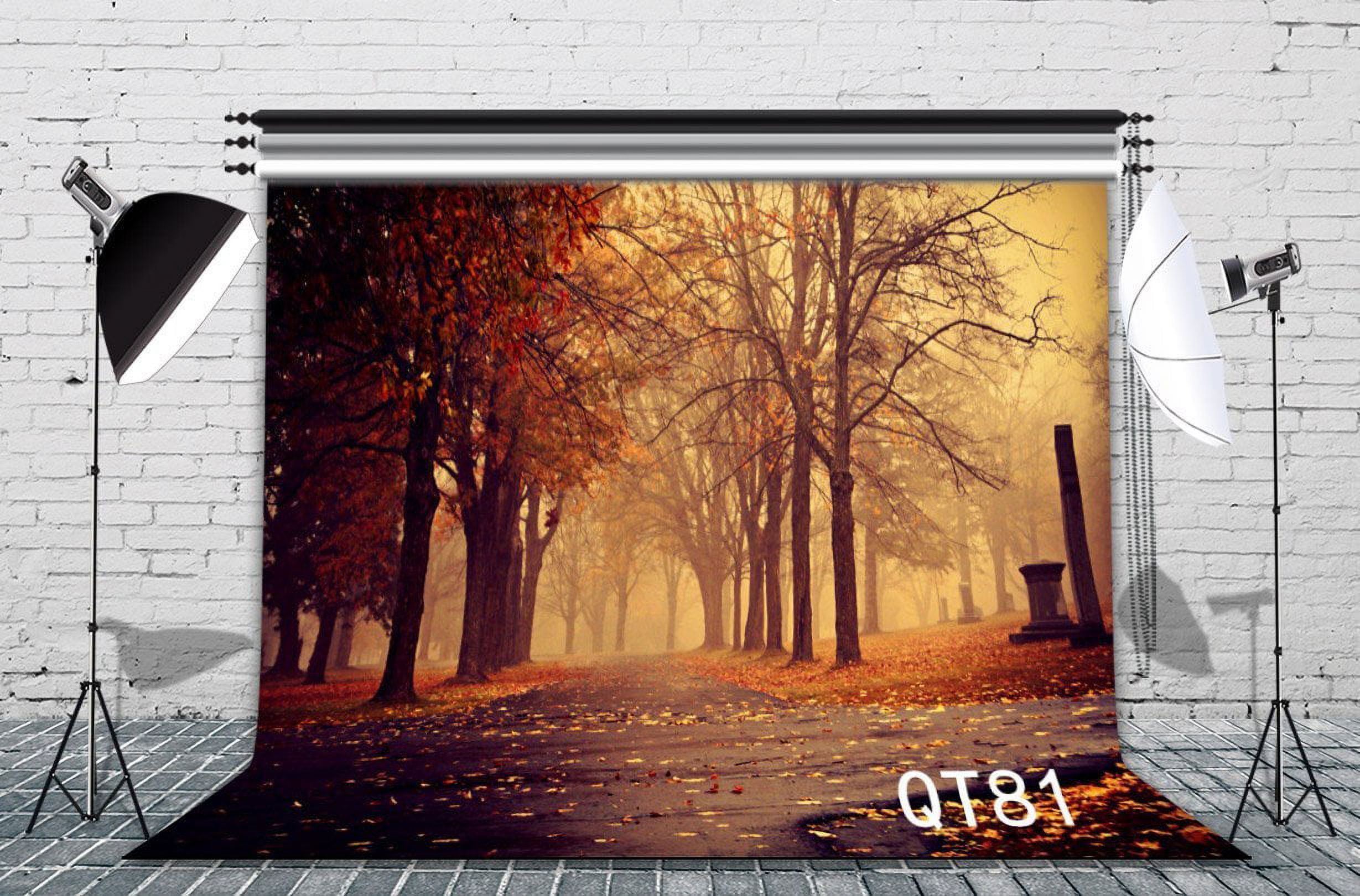 HelloDecor 7x5ft Coming Morning Photography Backdrops Studio Background ...