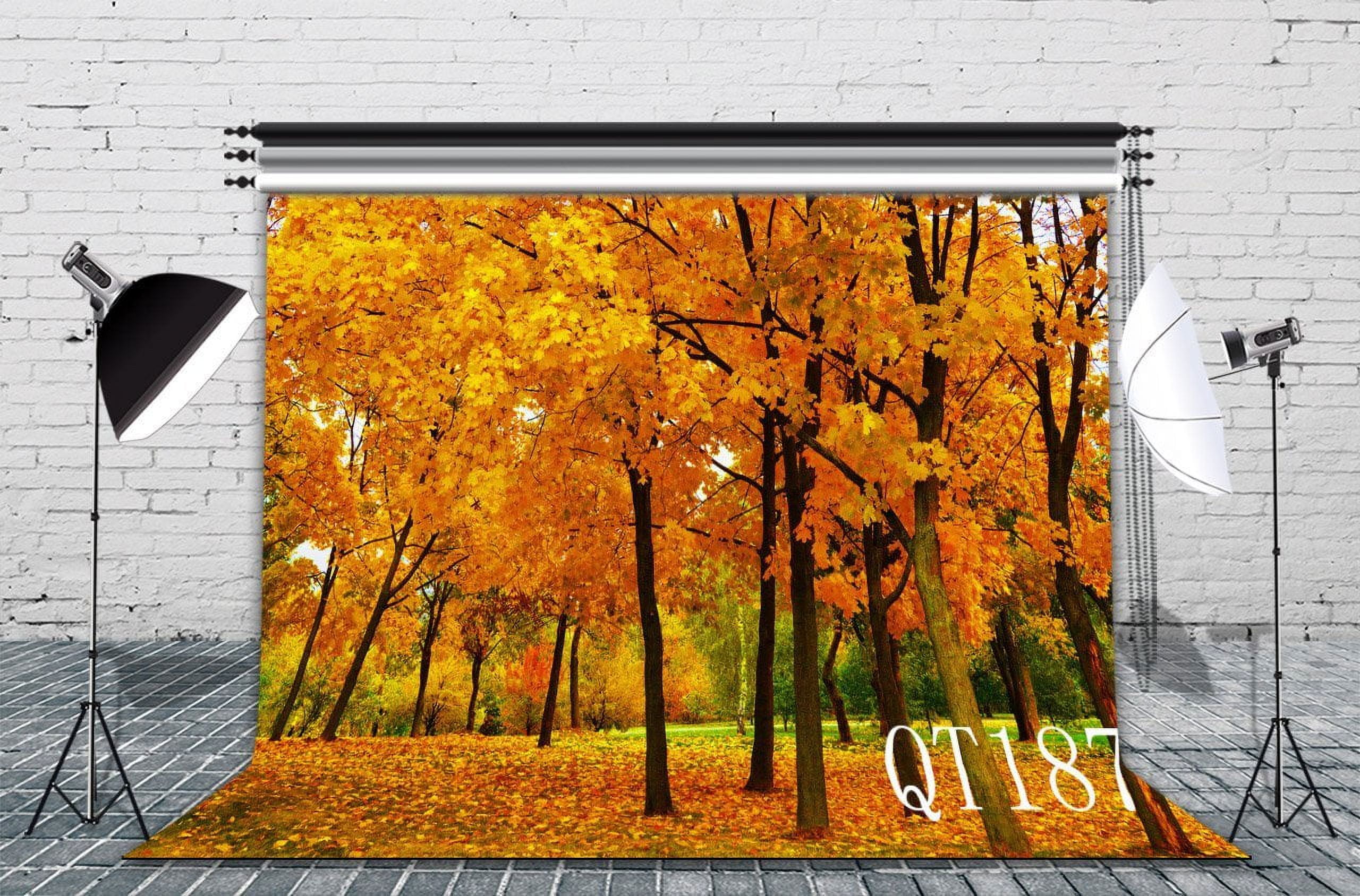 HelloDecor 7x5ft Golden Woods Photography Backdrops Studio Background ...