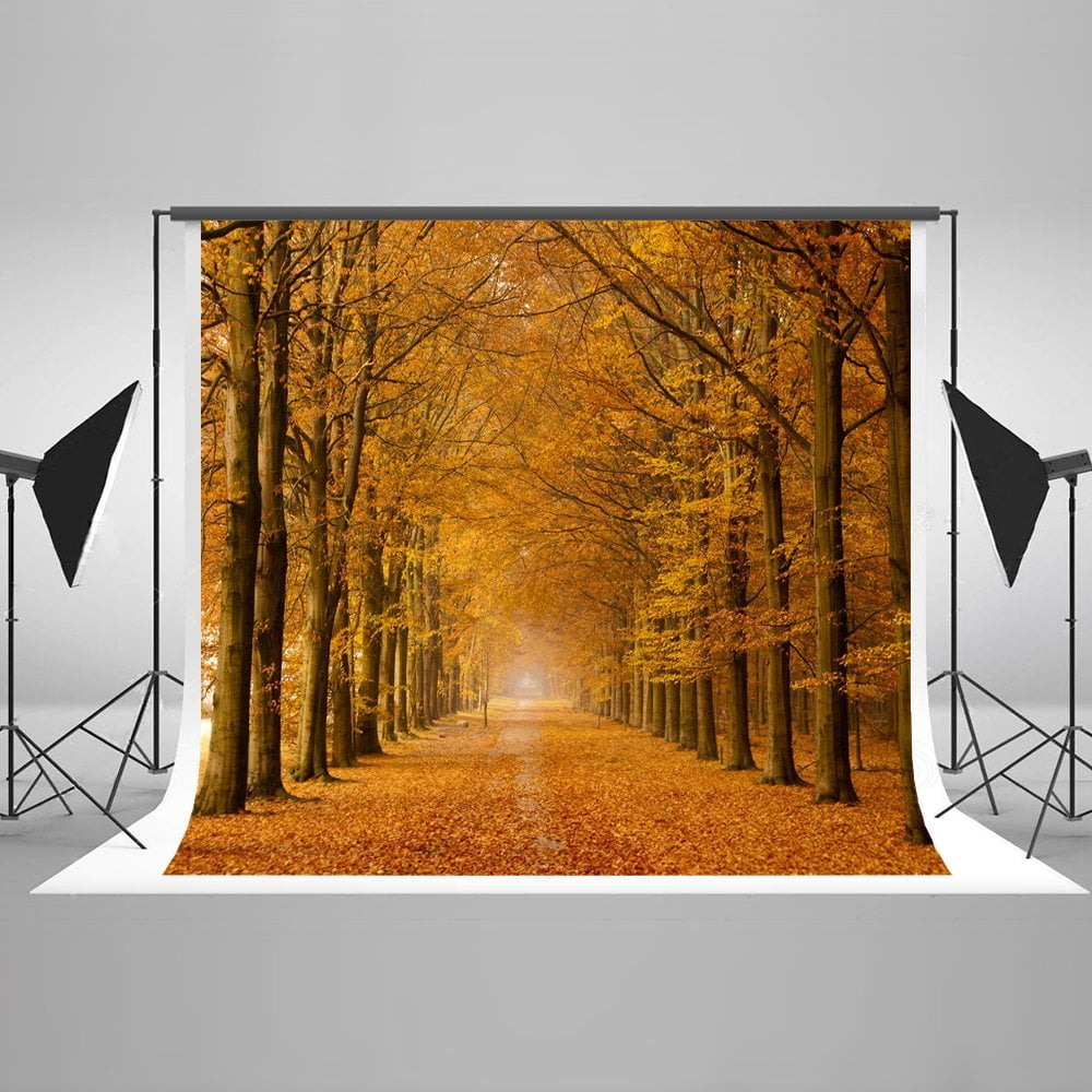 HelloDecor 7x5ft Lover Wait Autumn Golden Forest Park Tree Leaf Road ...